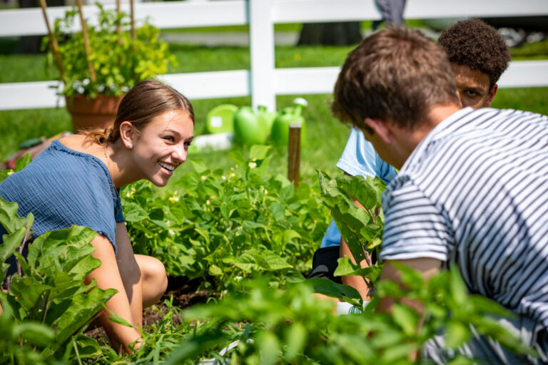 Understanding the Subjective Units of Distress Scale (SUDS): A Tool for ...